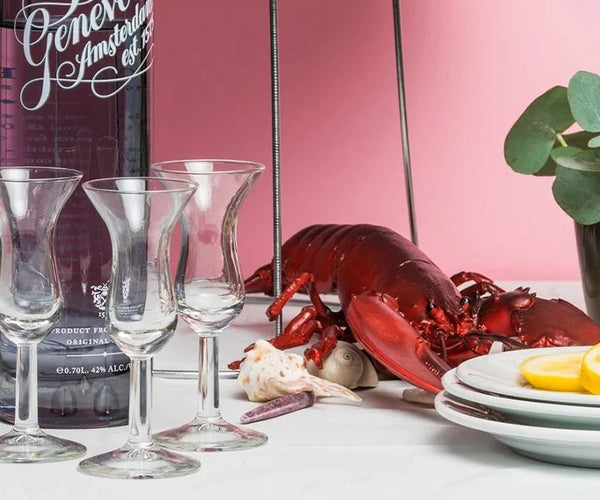 Want to buy jenever glasses? – APS Glass & Bar Supply